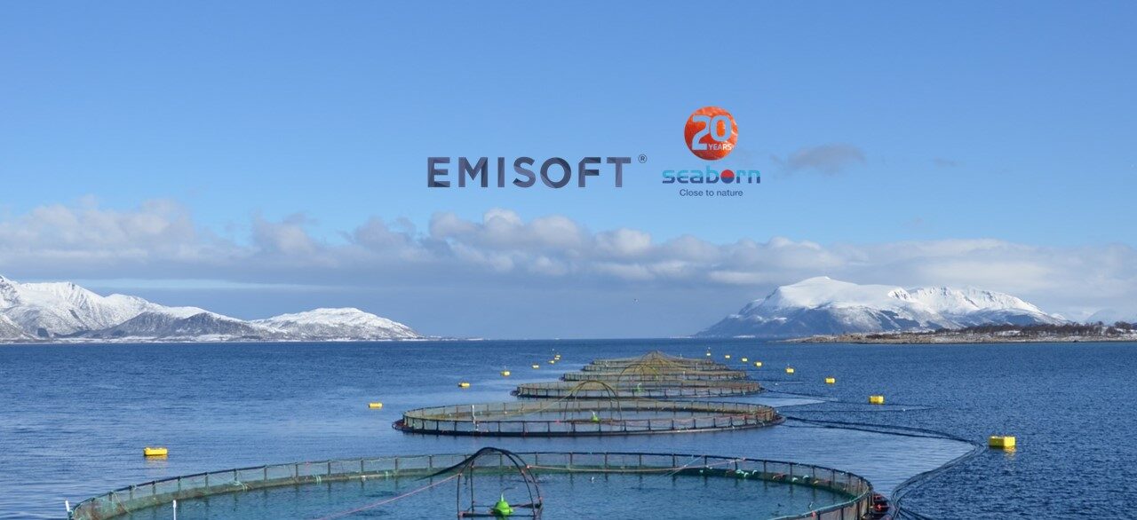 Seaborn - Customer History | Emisoft